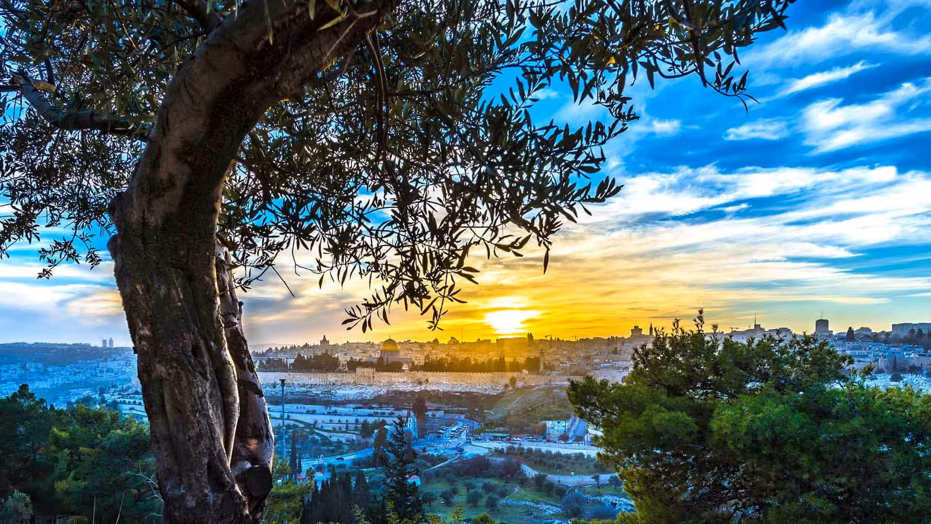 Culture, Conversation, and Connection: An Israel Journey | J² adventures.